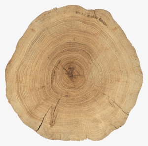 Log - Logarithm PNG Image | Transparent PNG Free Download on SeekPNG