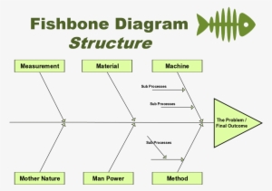 Fish Bone - 6 Ms Fishbone PNG Image | Transparent PNG Free Download on ...
