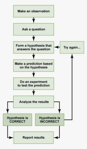 Ngss & The Scientific Method - Scientific Method 7 Steps Mcgrawhill PNG ...