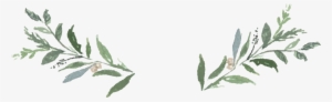 28 Collection Of Greenery Clipart Transparent - Greenery Clipart ...