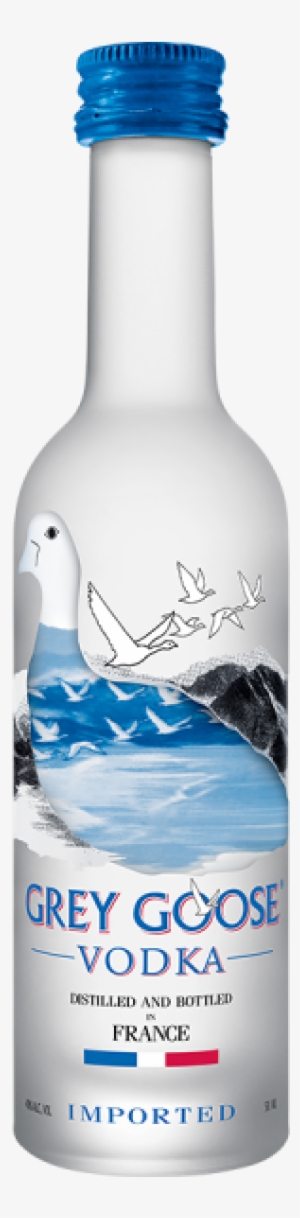 Grey Goose Vodka PNG Image | Transparent PNG Free Download on SeekPNG