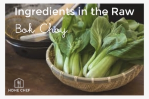 Bok Choi, White Stem Pechay Seed PNG Image | Transparent PNG Free ...