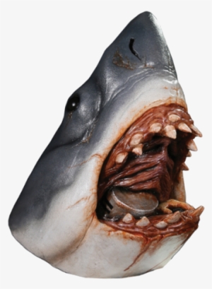 Shark Jaws - Cartoon PNG Image | Transparent PNG Free Download on SeekPNG