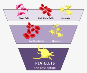Purple Graphic With Icons For Platelets, Red Blood - Red Blood Cell PNG ...