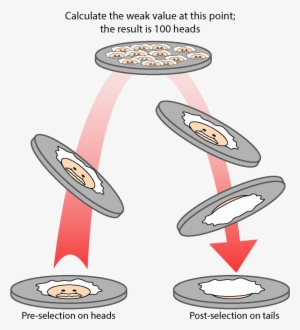 Quantum Coin Flip PNG Image | Transparent PNG Free Download on SeekPNG