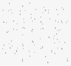 15 Flying Rocks Png For Free On Mbtskoudsalg - Flock PNG Image ...