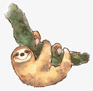 Sloth Wednesday PNG Image | Transparent PNG Free Download on SeekPNG