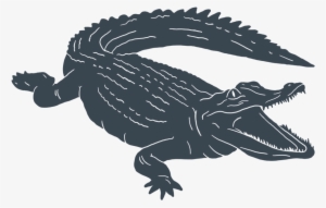 Alligator Png PNG Images | PNG Cliparts Free Download on SeekPNG