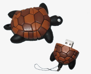 Athoyo's Usb Turtle Flash Drive 2gb - Desert Tortoise PNG Image ...
