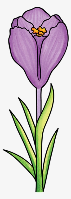 Logo - Crocus PNG Image | Transparent PNG Free Download on SeekPNG