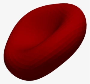 Red Blood Cell Object In Fluid Is A Computational Framework - Comfort ...