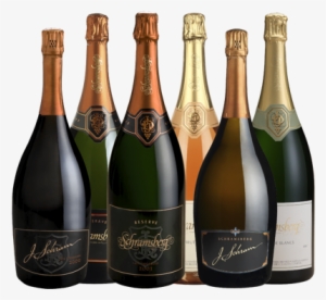 Magnum Six Pack - Sparkling Wine PNG Image | Transparent PNG Free ...