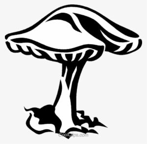 Mushroom, Toadstool Royalty Free Vector Clip Art Illustration ...