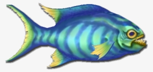 Fish 13 - Pomacentridae PNG Image | Transparent PNG Free Download on ...