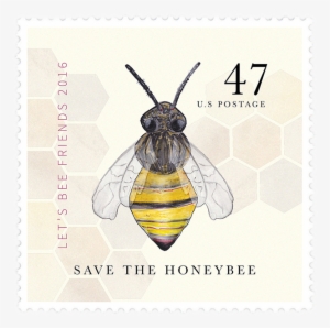 Watercolor Illustration Of Honey Bee Incorporated Into - Net-winged ...