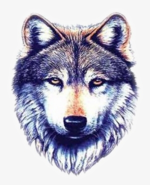 Cream Wolf Head Pictures - Волк Пнг PNG Image | Transparent PNG Free ...