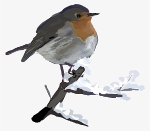 Winter Birds Free Clipart Clip Art Library - Cute Winter Bird Clipart ...