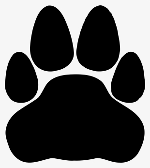 Cat Footprint PNG Image | Transparent PNG Free Download on SeekPNG