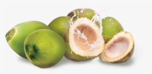 Buy Now - Green Coconut Images Png PNG Image | Transparent PNG Free ...