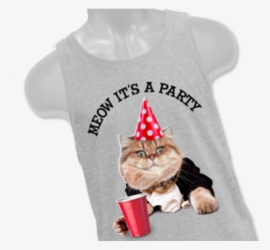 Party Cat - Tabby Cat PNG Image | Transparent PNG Free Download on SeekPNG