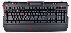 Keyboard Num Overlay - Keyboard PNG Image | Transparent PNG Free ...