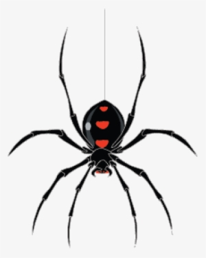 Free Download Spider Hanging From Web Clipart Spider - Spider Dangling ...