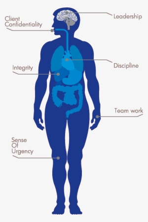 Innovic Is A Company Specialized In Providing Comprehensive - Human ...