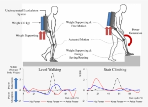 Human Walking Cycle And Mechanical Concept Of The Proposed - Walk Cycle ...