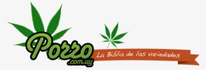 Porro Uruguay Logo - Cannabis Leaf Cube Ottoman PNG Image | Transparent ...