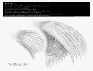 Side Angel Wings Png PNG Image | Transparent PNG Free Download on SeekPNG