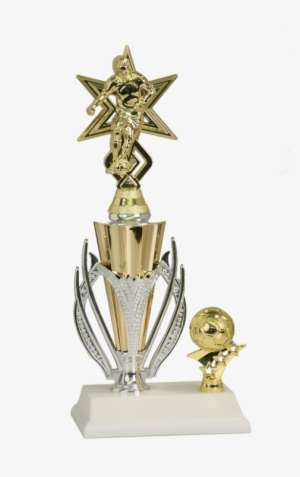 Sports Trophies - Star Screen Award Trophy Png PNG Image | Transparent ...