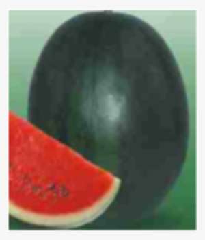 Watermelon F1 - Black Magic - Watermelon PNG Image | Transparent PNG ...