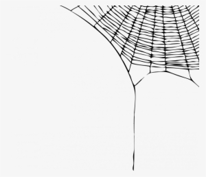 Spider Web Clipart Border Free - Transparent Background Spider Web Png ...