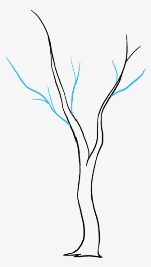 How To Draw A Cartoon Tree - Tree Pencil Cartoon Drawing PNG Image ...
