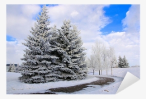 Winter Landscape With Snow Covered Park And Frosty - Snow PNG Image ...