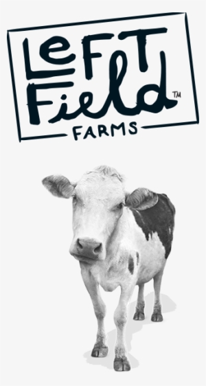 Take A Fresh Look - Left Field Farm Milk PNG Image | Transparent PNG ...