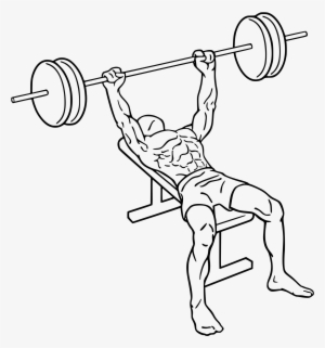 Bench Press Vector - Bench Press Logo Png PNG Image | Transparent PNG ...