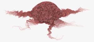 Cancer Cell Png PNG Image | Transparent PNG Free Download on SeekPNG