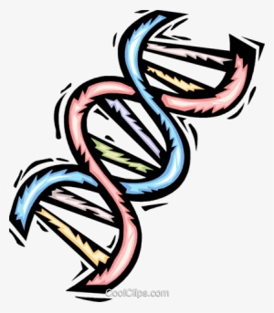 Dna Royalty Free Vector Clip Art Illustration - Gene Clipart PNG Image ...