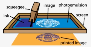 How To Screen Print A T Shirt Infographic - Screen Printing Process ...