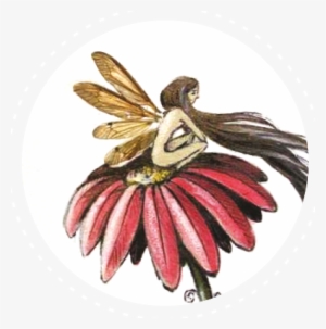 Black Eyed Susan Transparency PNG Image | Transparent PNG Free Download ...