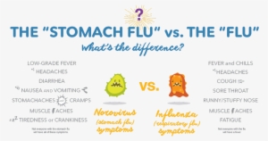 The Difference Between Stomach Flu And The Difference - Baby Stomach ...