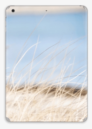 Beach Grass - Grass PNG Image | Transparent PNG Free Download on SeekPNG