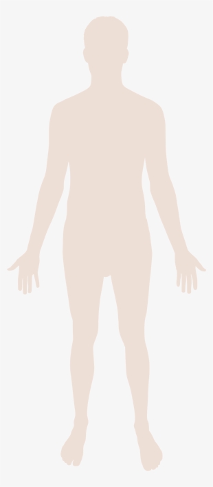 Body PNG Image | Transparent PNG Free Download on SeekPNG