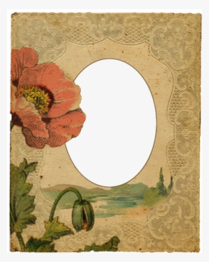 Vintage Frame With Poppy - Picture Frame PNG Image | Transparent PNG ...