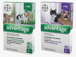 Advantage® Cat Products - Bayer - Advantage 80 Spot-on Flea Drops PNG ...