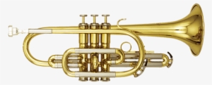 Cornet - Cornet Horn PNG Image | Transparent PNG Free Download on SeekPNG