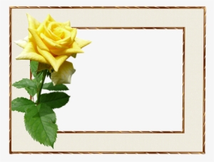 Flower Margin PNG Image | Transparent PNG Free Download on SeekPNG