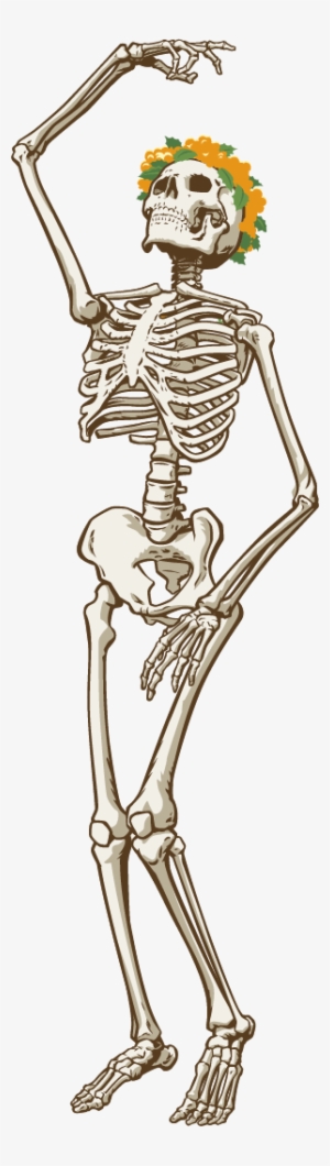 Gd Skeleton Grateful Dead - Sunshine Daydream (veneta,oregon,8/27/1972 ...