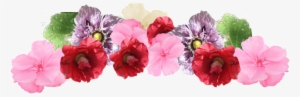 Floral Separator - - Artificial Flower PNG Image | Transparent PNG Free ...